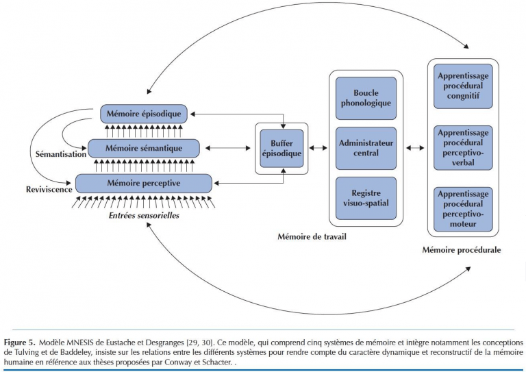 La mémoire - Formation AIRAM Montessori